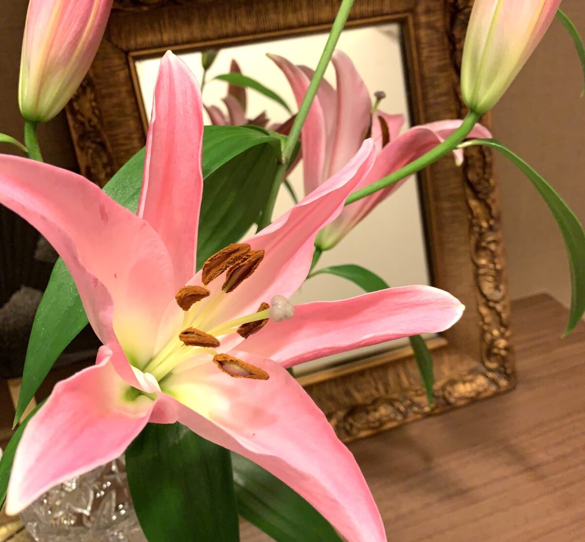 ＃81 ちいさな目標。 – MITSUKO HAMADA