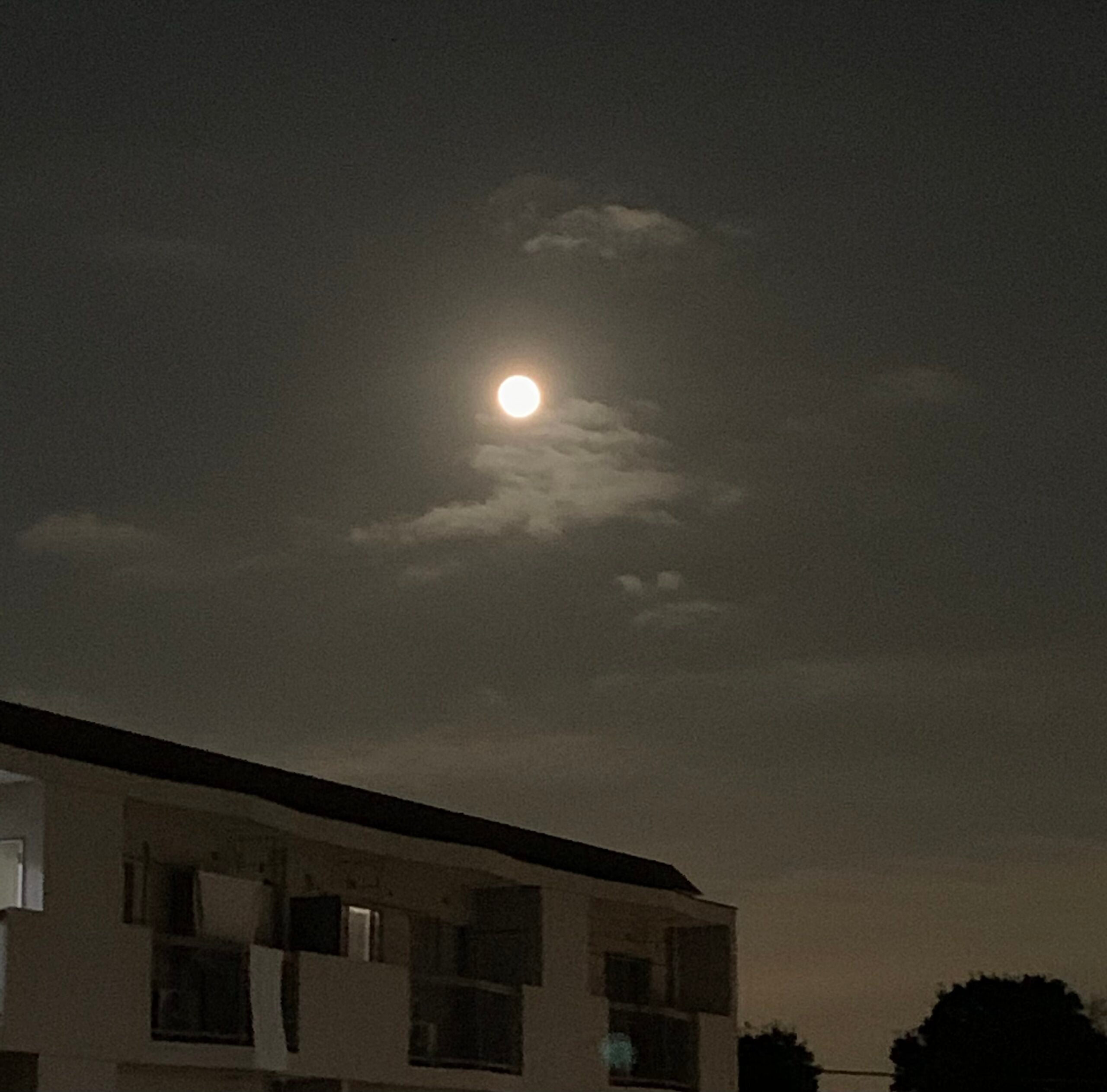 ブルームーン – MITSUKO HAMADA