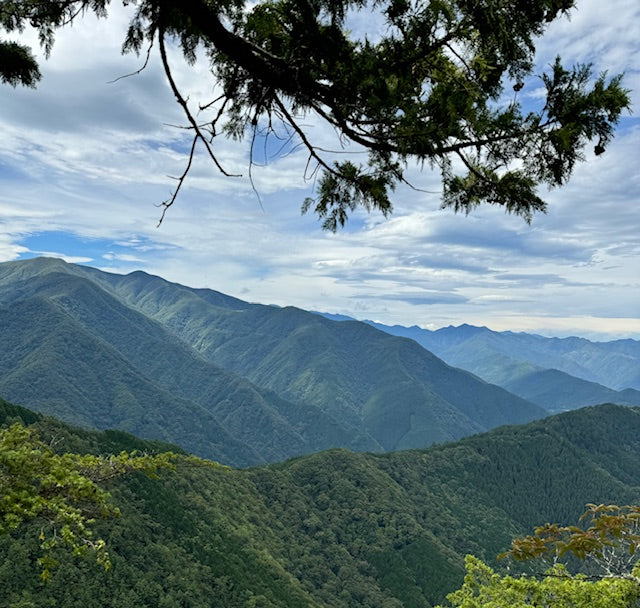 ＃211 取り留めのない話 – MITSUKO HAMADA