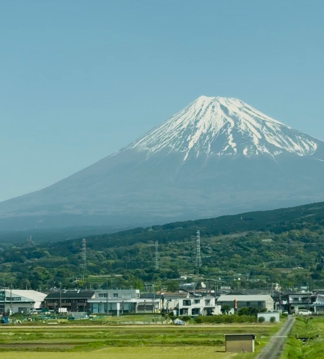 ＃244 秀吉の書 – MITSUKO HAMADA