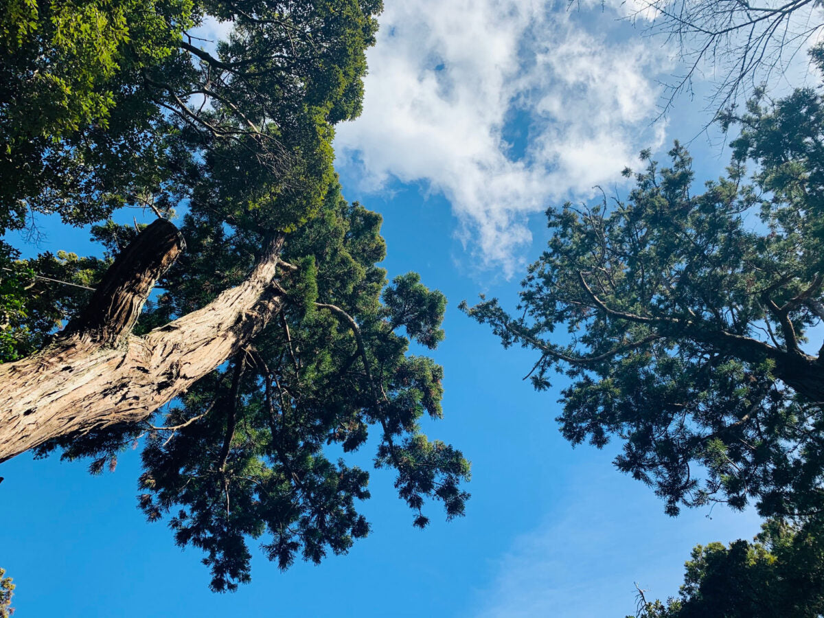 ご報告。 – MITSUKO HAMADA