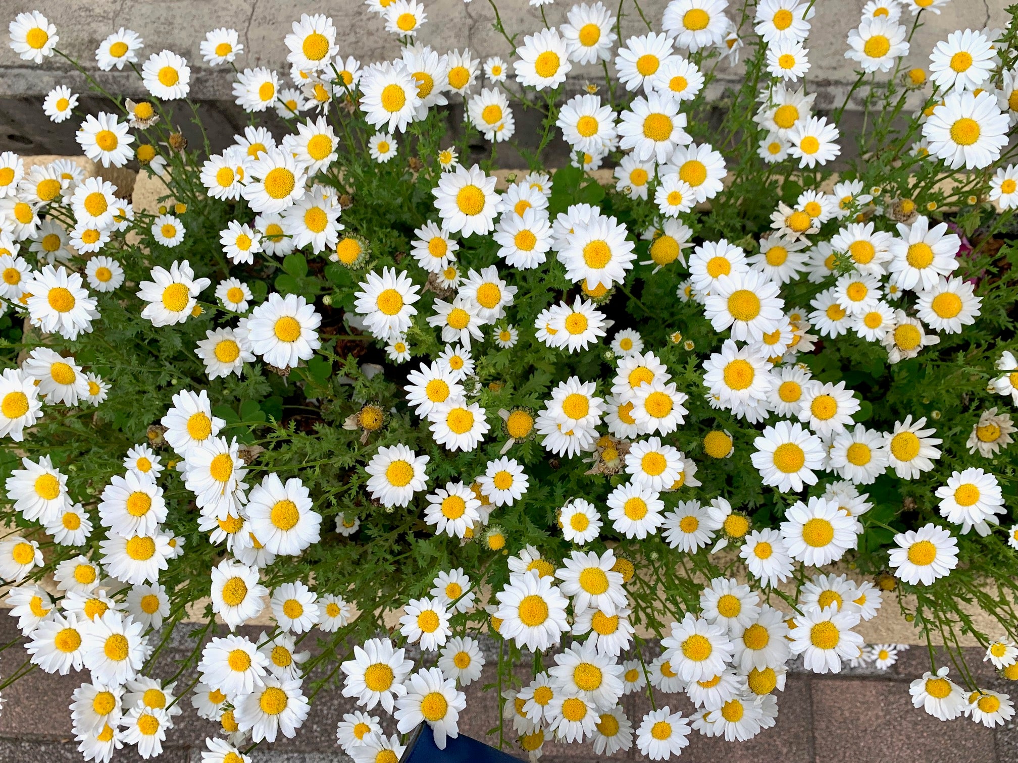 ＃192 気づき – MITSUKO HAMADA